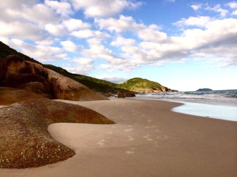 Florianópolis: Guarda do Embau Day Trip with Pickup - Who Will Enjoy This Trip?