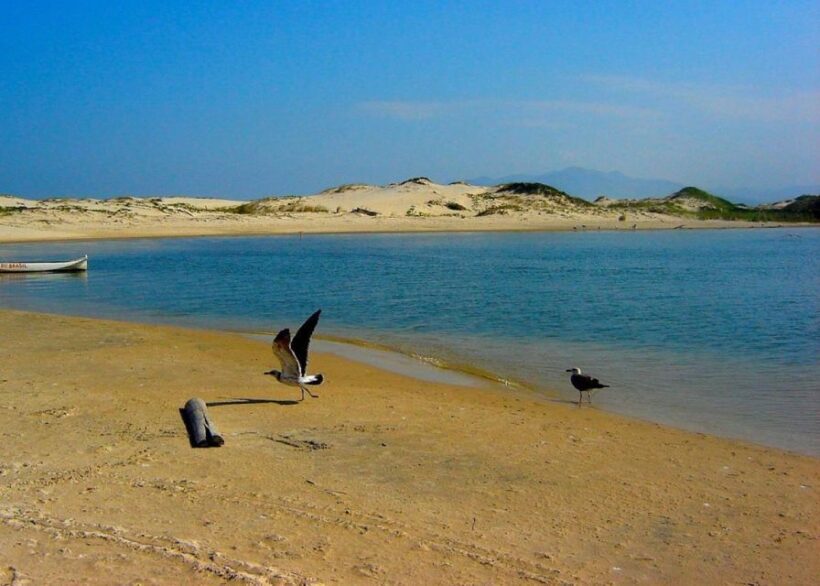 Florianópolis: Guarda do Embau Day Trip with Pickup - FAQ