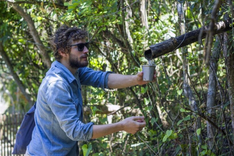 Florianopolis: Lagoinha do Leste Natural Park Hike - Final Thoughts: Who Will Love This Tour?