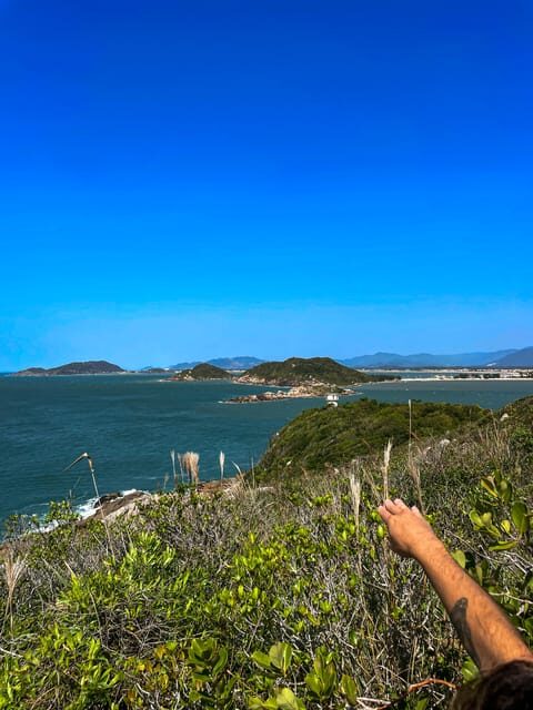 Florianópolis: South Naufragados Trail - Who Is This Tour Best For?