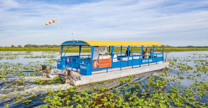 Florida: 90 Minute Everglades Cruise - What Makes This Tour Special