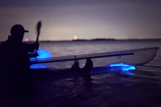 Florida Bioluminescence Clear Kayak tour/ Beacon 42 (Titusville) - Authentic Experiences Highlighted by Travelers