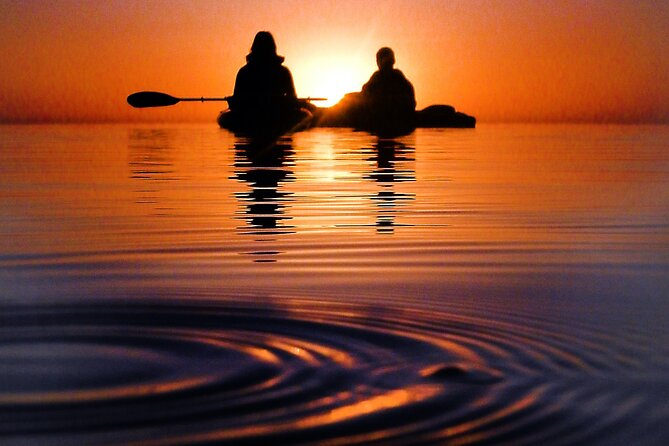 Florida Bioluminescence Clear Kayak tour/ Beacon 42 (Titusville) - The Sum Up