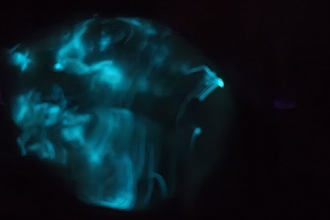 Florida Bioluminescence Clear Kayak tour/ Beacon 42 (Titusville) - FAQ