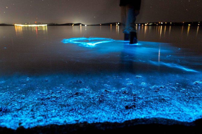 Florida Bioluminescence Kayaking Tour (Titusville) - Key Points