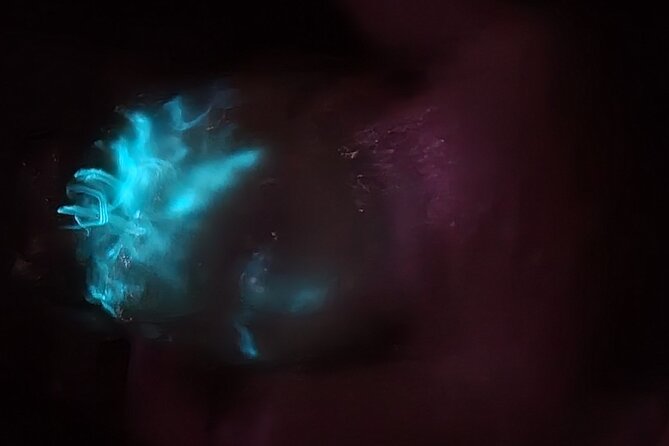 Florida Bioluminescence Kayaking Tour (Titusville) - Frequently Asked Questions