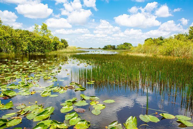 Florida Everglades Airboat Adventure plus Miami Biscayne Bay Cruise - Who Will Love This Tour?