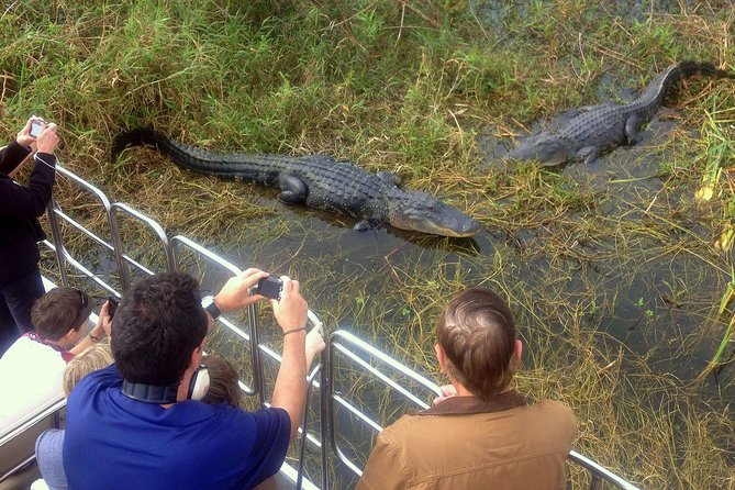 Florida Everglades Airboat Tour and Wild Florida Admission with Optional Lunch - The Sum Up