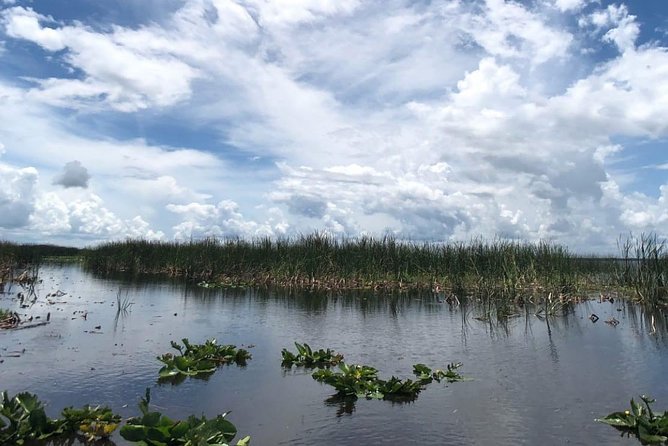 Florida Everglades Airboat Tour and Wild Florida Admission with Optional Lunch - FAQ