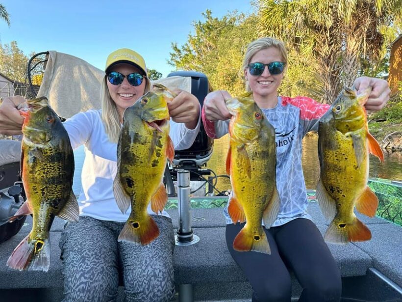 Florida Everglades Fishing Charter Near Fort Lauderdale - Who Is This Tour Best For?