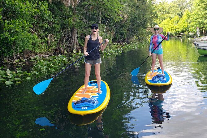 Florida Freshwater Springs Paddle Board Tour - Discover the Florida Freshwater Springs Paddle Board Tour