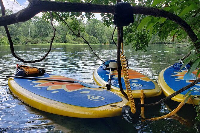 Florida Freshwater Springs Paddle Board Tour - Final Thoughts: Is It Worth It?