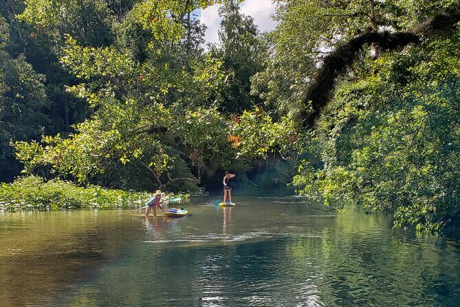 Florida Freshwater Springs Paddle Board Tour - FAQs About the Florida Freshwater Springs Paddle Board Tour