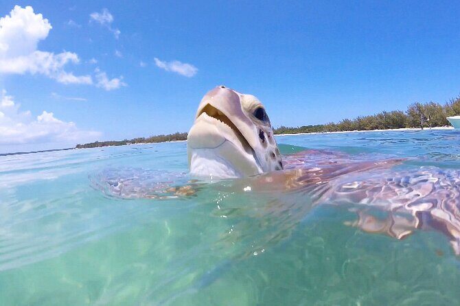 Florida Key Private Islands Exclusive Day Trip from Miami w/activ - The Cost vs. Value