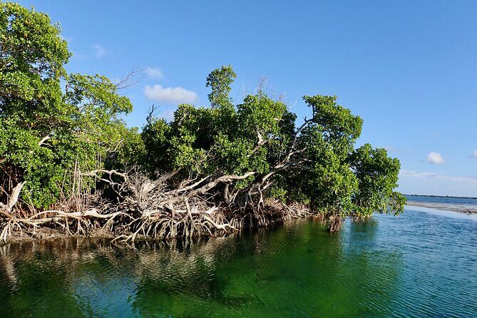 Florida Keys Backcountry Eco Tour from Big Pine Key - An Authentic Tour: What to Expect