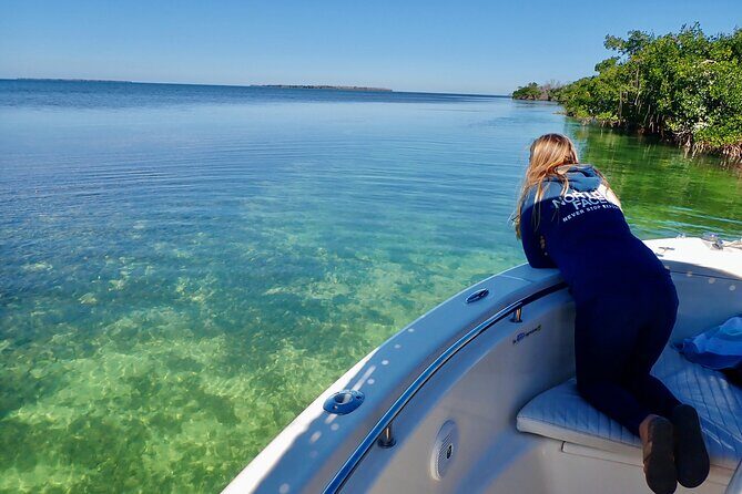 Florida Keys Backcountry Eco Tour from Big Pine Key - Final Thoughts
