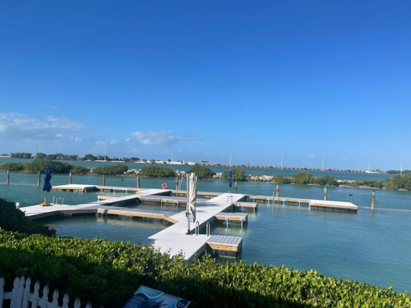 Florida Keys: Dockside Dolphin Experience - Practical Tips for Visitors