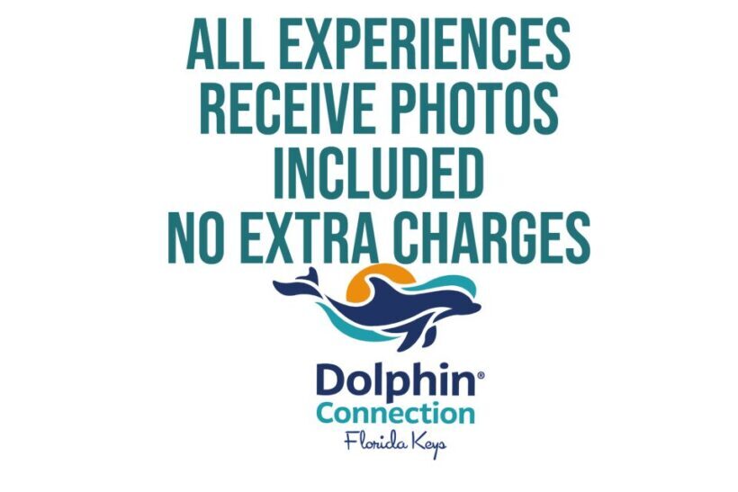 Florida Keys: Dockside Dolphin Experience - Final Thoughts