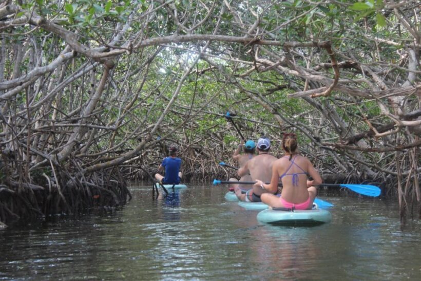 Florida Keys: Full-Day Kayak + Snorkel Coral Reef Adventure - Introduction