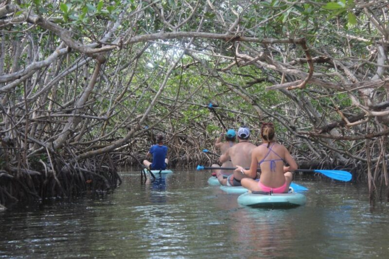 Florida Keys: Full-Day Kayak + Snorkel Coral Reef Adventure - Practical Tips for Participants