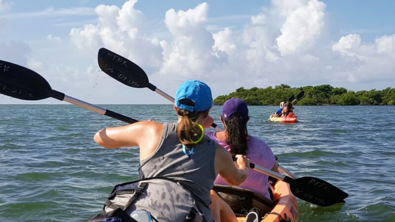 Florida Keys: Full-Day Kayak + Snorkel Coral Reef Adventure - FAQ