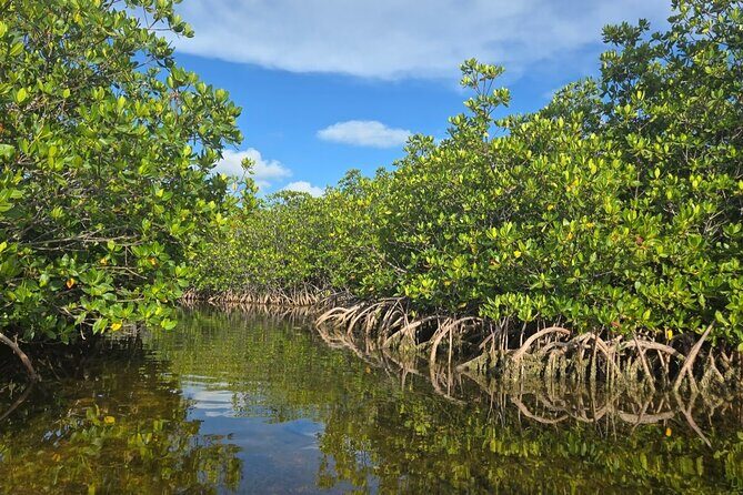 Florida Keys Kayak And Paddleboard Rentals - Exploring the Florida Keys by Kayak and Paddleboard: An In-Depth Review