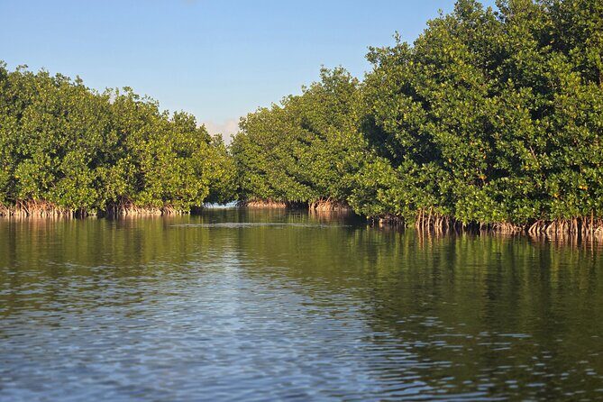 Florida Keys Kayak And Paddleboard Rentals - The Practicalities: Making It Work for You