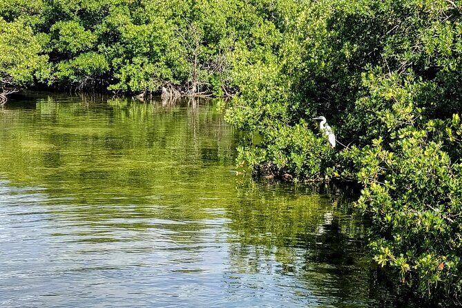 Florida Keys Kayak And Paddleboard Rentals - Who Should Consider This Experience?