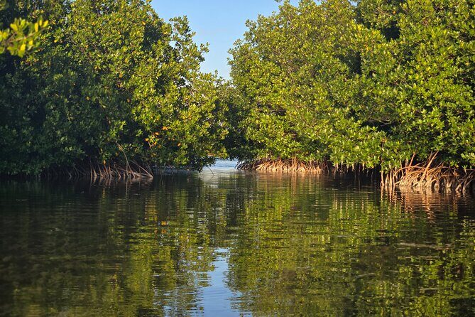 Florida Keys Kayak And Paddleboard Rentals - The Sum Up: The Best of the Keys Without the Crowds