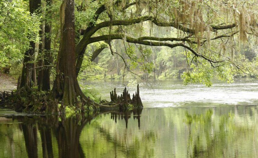 Florida Keys: Key West Kayak Eco Tour with Nature Guide - Who Will Love This Tour?