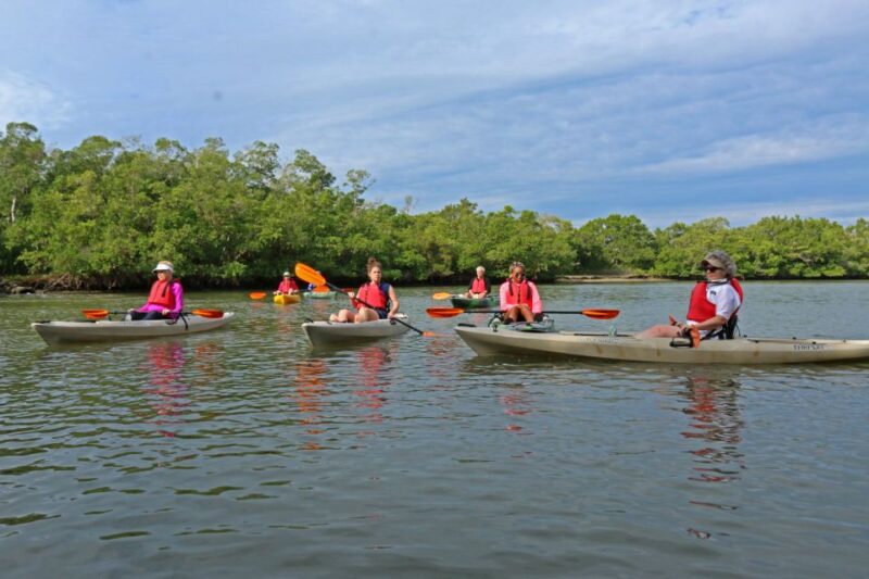Florida Keys: Key West Kayak Eco Tour with Nature Guide - Key Points