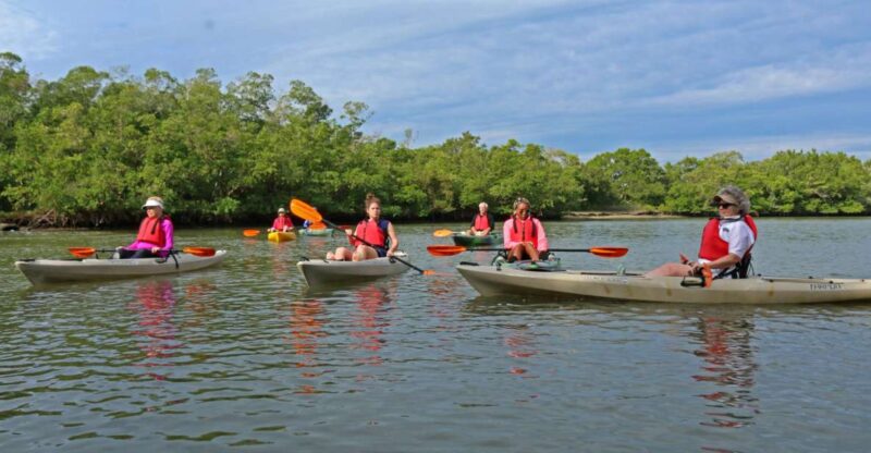 Florida Keys: Key West Kayak Eco Tour with Nature Guide - The Experience Itinerary in Detail