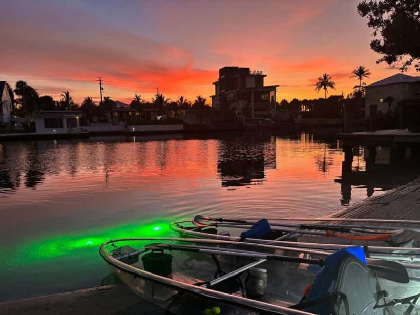 Florida: Sharkey's Guided Fish Feeding LED Night Tour - The Experience: What to Expect on the LED Night Kayak Tour