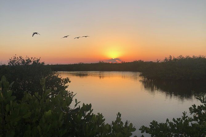 Florida Sunset and Bioluminescence Package - Why This Tour Offers Great Value