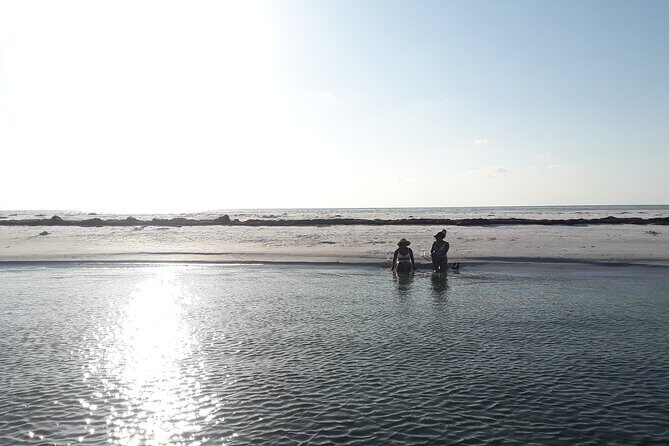 Florida's Beautiful Beaches and Waterways Private Tour - Setting Off: What to Expect from the Tour