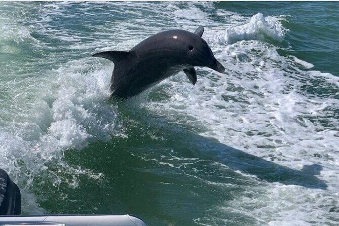 Florida's Beautiful Beaches and Waterways Private Tour - The Sum Up