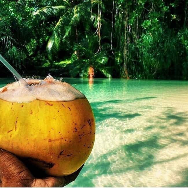 Floyd's Pelican Bar Private Tour - The Practical Details