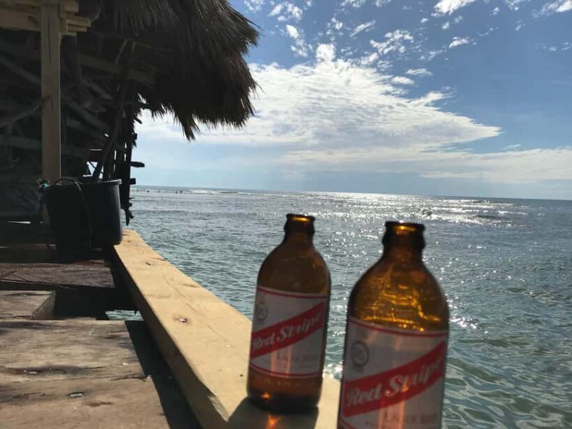 Floyds Pelican Bar, Ys Falls and Black River Safari Tour - Authentic Encounters and Traveller Insights