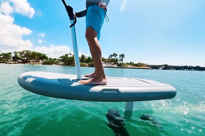 Fly Above Ocean Adventure on a Flite Scooter! - Final Thoughts: Is It Worth It?