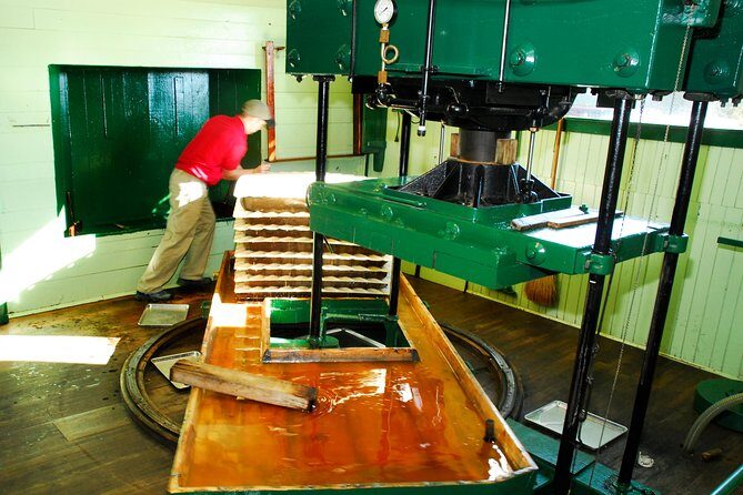 Fly Creek Cider Mill & Orchard - Private Tour with Owner - Key Points