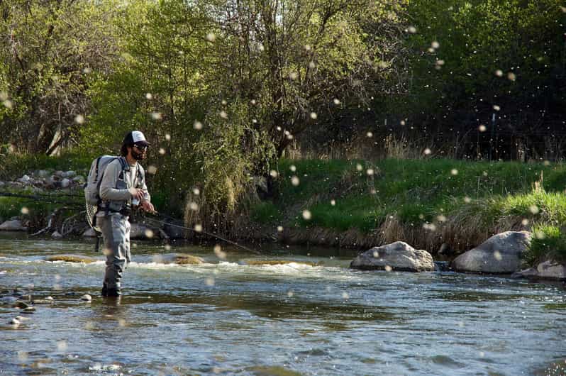 Fly Fish Utah Blue Ribbon Trout Waters - Itinerary Breakdown and What to Expect