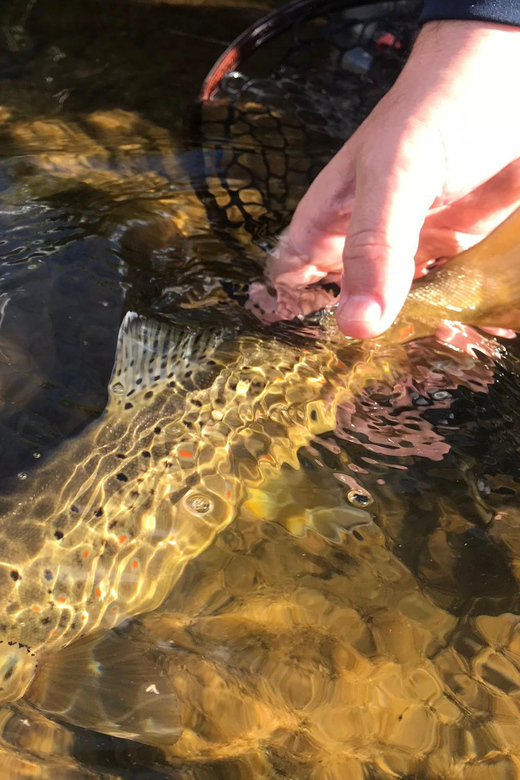 Fly Fish Utah Blue Ribbon Trout Waters - FAQ