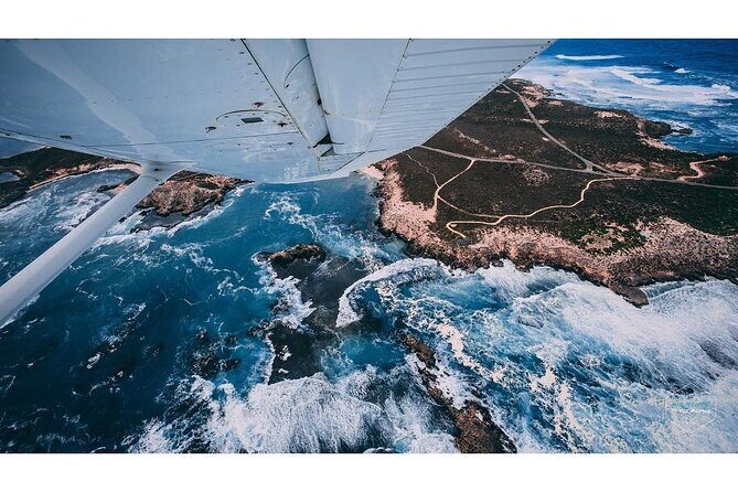 Fly to Rottnest Island by Plane - Who Would Enjoy This Tour?