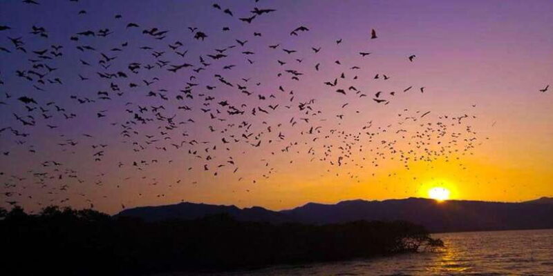 Flying Fox Sunset Cruise Private Boat Charter Labuan Bajo - Detailed Breakdown of the Tour