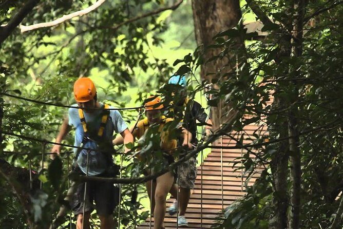 Flying Hanuman Ziplines 42 platform With Lunch - The Sum Up