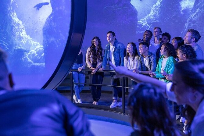 Flyover in Chicago - Why You Should Consider This Tour