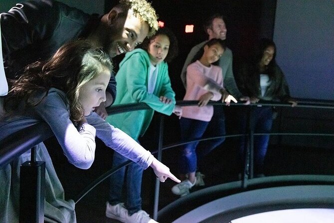 Flyover in Chicago - In The Sum Up