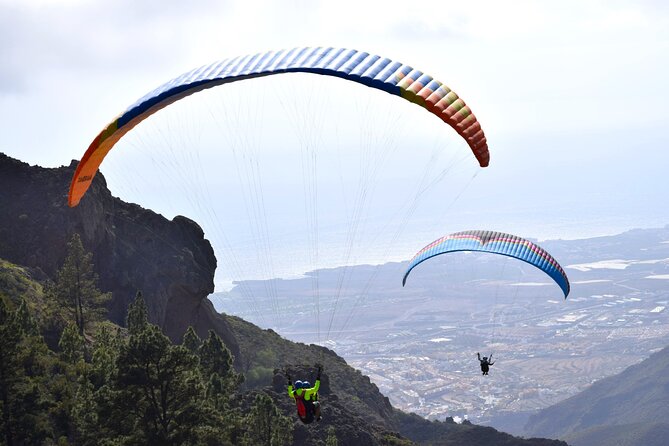 FlyTenerife Paragliding Flight - Pricing and Cancellation Policy