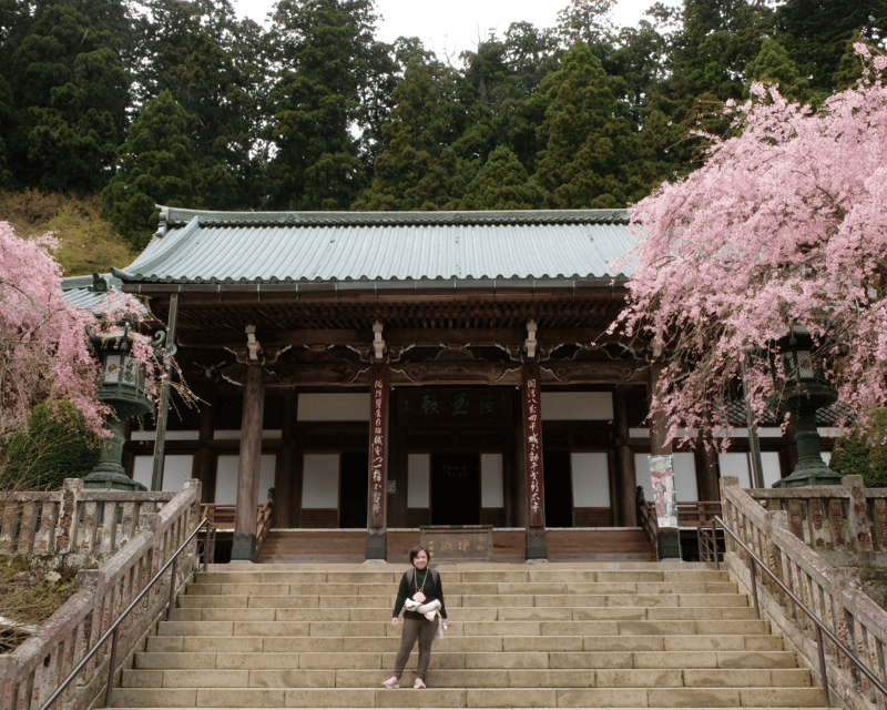 Fm Odawara: Forest Bathing and Onsen With Healing Power - Inclusions and Optional Services