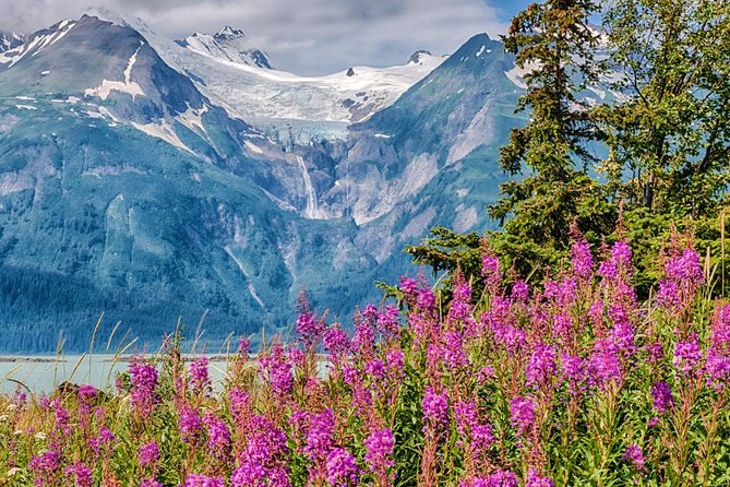 Focus on Haines Private Nature / Photography tour - Final Thoughts